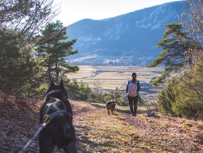 Cani-rando : la randonnée n'a jamais été aussi ludique | Atlas For Men